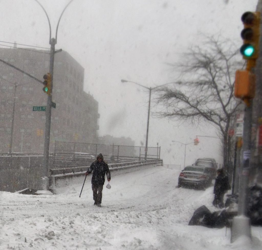 SEE PHOTOS: Snow Day in the Bronx - Norwood News