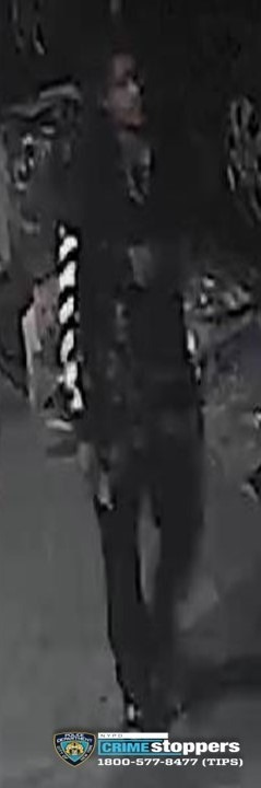 Bedford Park: Eight Sought for Gang Assault & Attempted Robbery of Teen ...