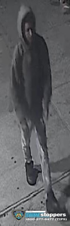 Bedford Park: Eight Sought for Gang Assault & Attempted Robbery of Teen ...