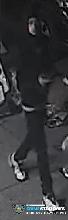 Bedford Park: Eight Sought for Gang Assault & Attempted Robbery of Teen ...